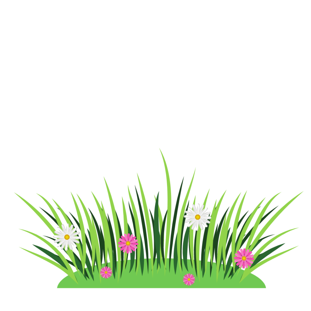 BEST Pediatric Dentist in Raleigh, NC | DINO Kids Dental